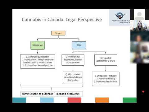 Effects of Cannabis