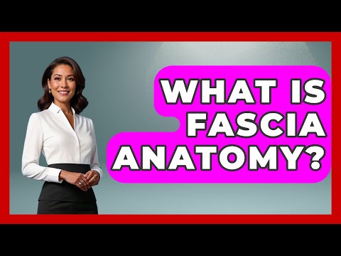 What Is Fascia Anatomy? - Biology For Everyone