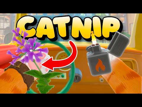 Steam Community :: Video :: Using Catnip COMPLETELY Changes I am Cat VR