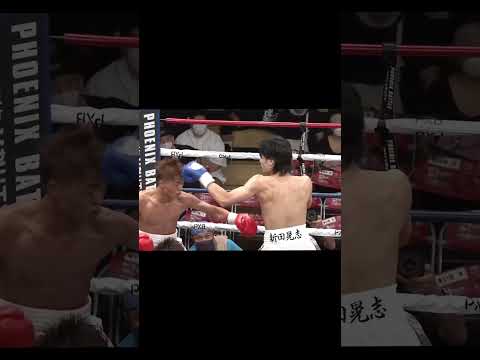 MOST VISCIOIUS KNOCKOUTS IN 2023 #boxing #knockout #devinhaney #shakurstevenson #tankdavis