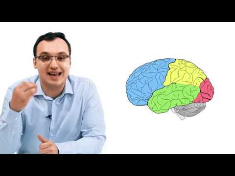 Hyponatremia: Osmotic demyelination syndrome