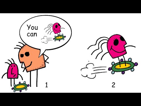 American Sign Language ASL Video Dictionary - cheer