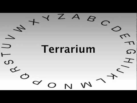 Spelling Bee Words and Definitions — Terrarium