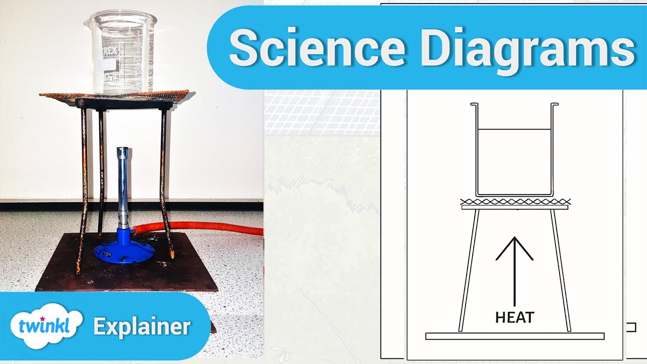 Science Diagrams in UKS2 Science