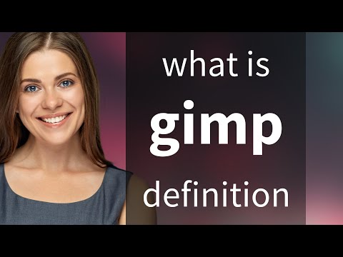 Gimp • definition of GIMP