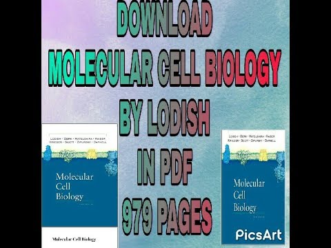 Download MOLECULAR CELL BIOLOGY BY LODISH IN PDF 979 PAGES