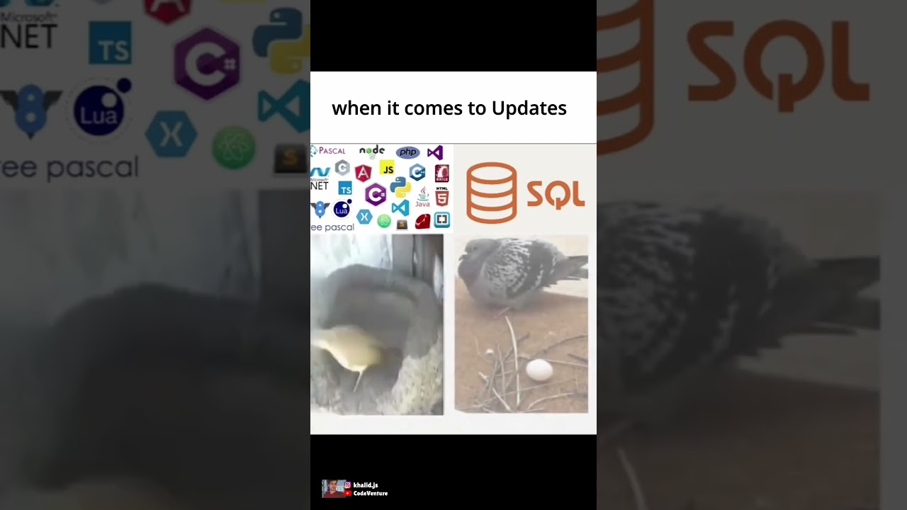 updates frequency in softwares #coding #programming #javascript #python