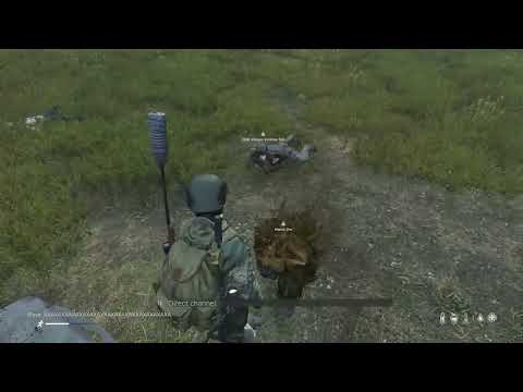 Steam Community :: DayZ