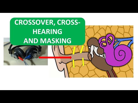 Chapter 4: Masking Why and When Videos – The Masking Handbook (For ...