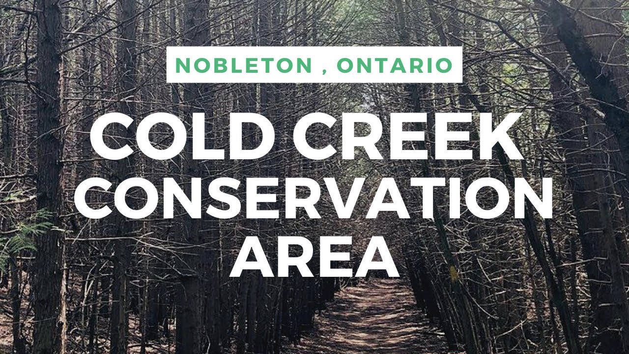 Hiking day at Cold Creek Conservation Area | Nobleton, Ontario