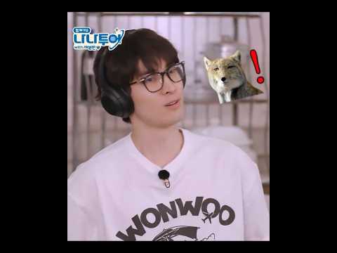 This duo is effortless funny meanwhile dk “Budapest”😂#seventeen#wonwoo#mingyu#Nanatour#The8#dokyeom