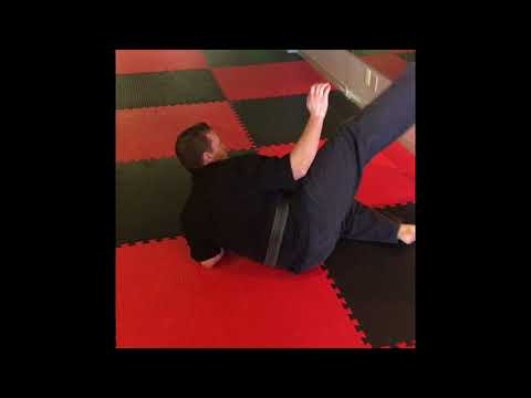 Snake Fist | kempoinfo.com