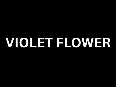 How to Pronounce "Violet Flower'' in English language? |How to say Violet Flower?|
