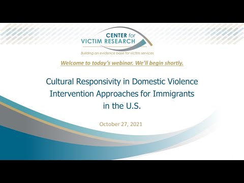 Cultural Responsivity in Domestic Violence Intervention Approaches for Immigrants in the U.S.