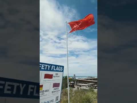 WHAT DOES A RED FLAG AT THE BEACH MEAN ?? BEACH FLAG WARNINGS . #beach #SHORTS #OBX