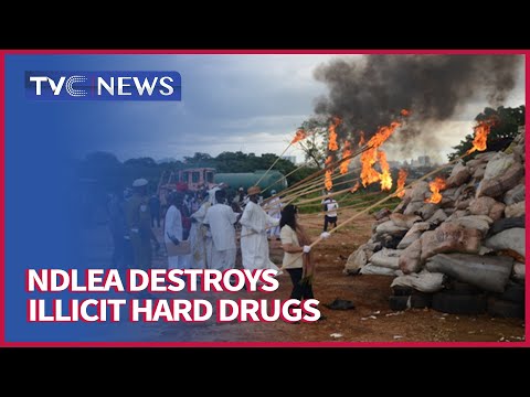 NDLEA Destroys 16,697 Kg Of Illicit Hard Drugs In Plateau State