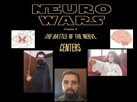 Voluntary control of the Myotatic reflex!