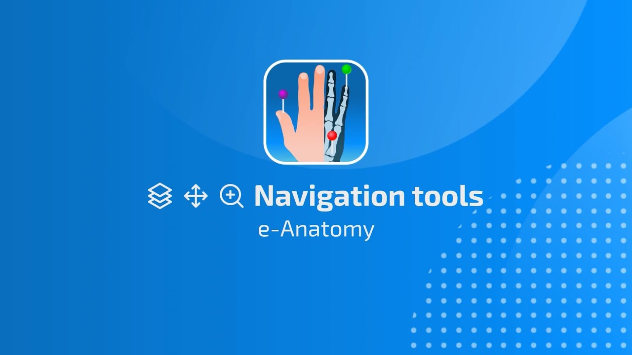 e-Anatomy: Navigation tools feature
