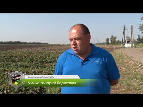 Купить удобрения оптом в Краснодаре по цене от 45 руб.
