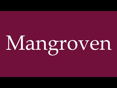 How to Pronounce ''Mangroven'' (Mangroves) Correctly in German