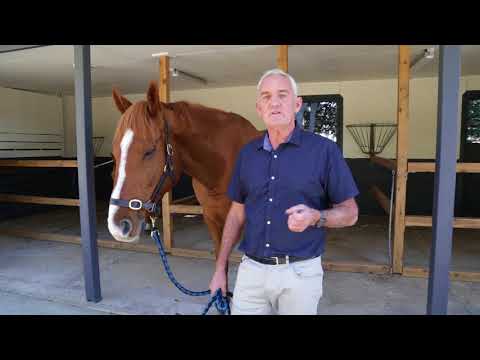 Equitation Science 2nd Edition Book | Andrew McLean