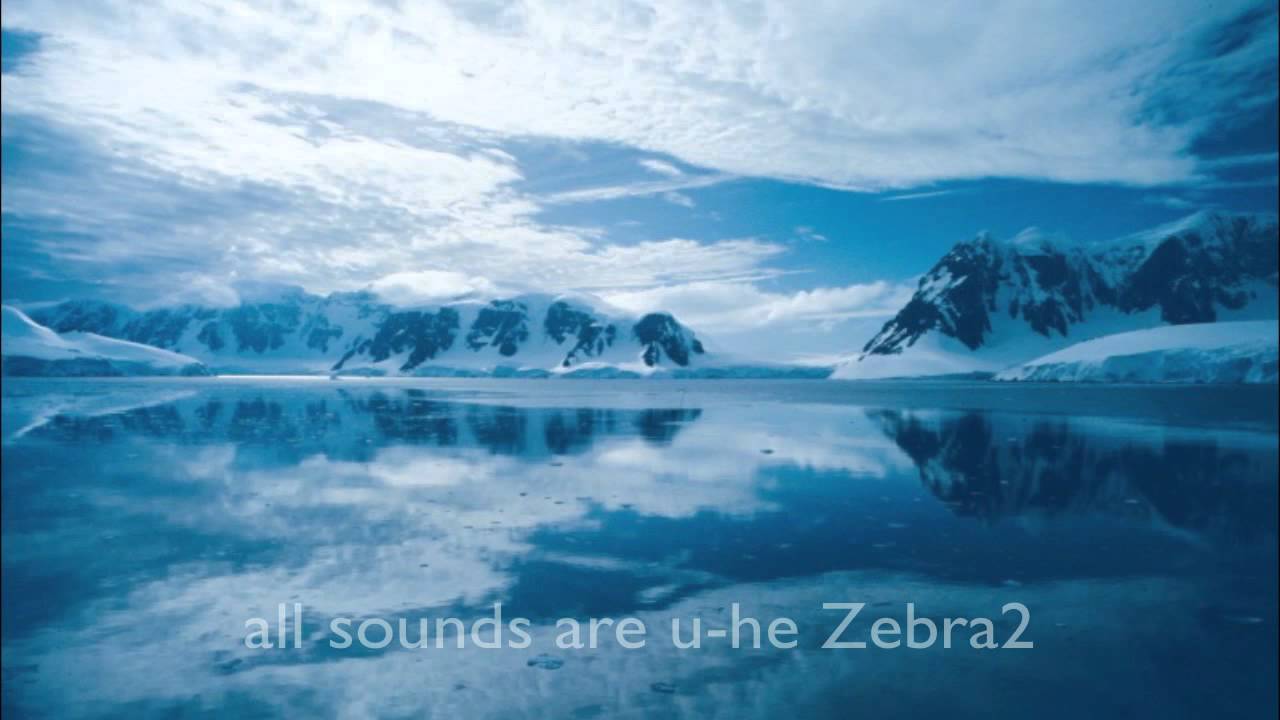 Zebra2 Sounds #01 - 