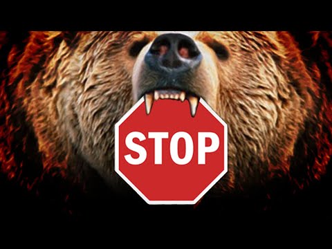 Steam Community :: Video :: Highlight: Can I Kill the BEAR with a Stun ...