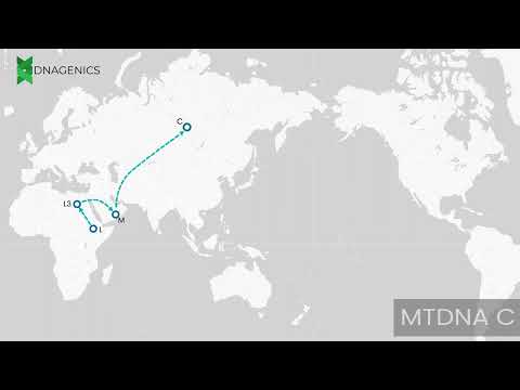 MTDNA C - DNAGENICS
