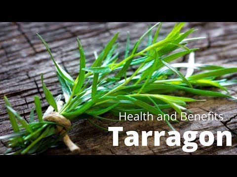 What Science Says About the Health Benefits of Tarragon