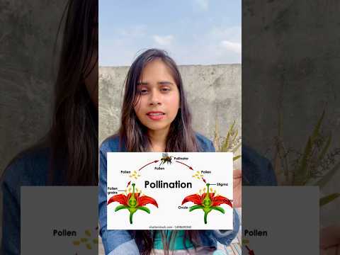 What is Pollination |Types of pollination |self & cross pollination #shorts #pollination