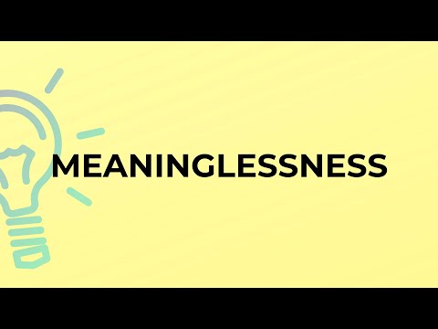 What is the meaning of the word MEANINGLESSNESS?