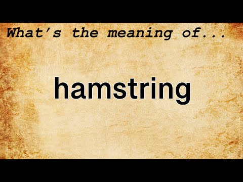 Hamstring Meaning : Definition of Hamstring