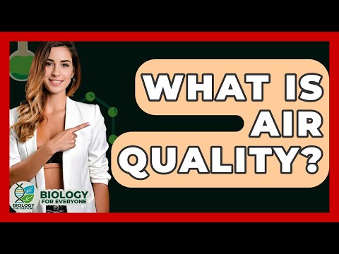What Is Air Quality? - Biology For Everyone