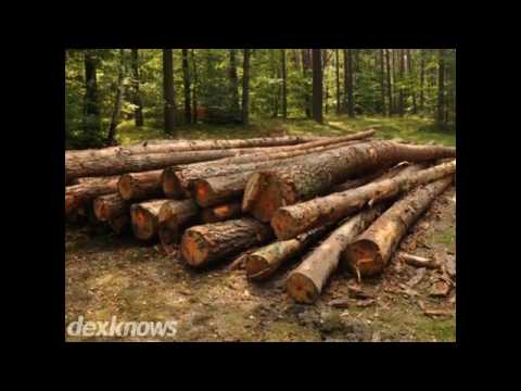 East Carolina Timber LLC Williamston NC 27892-7226