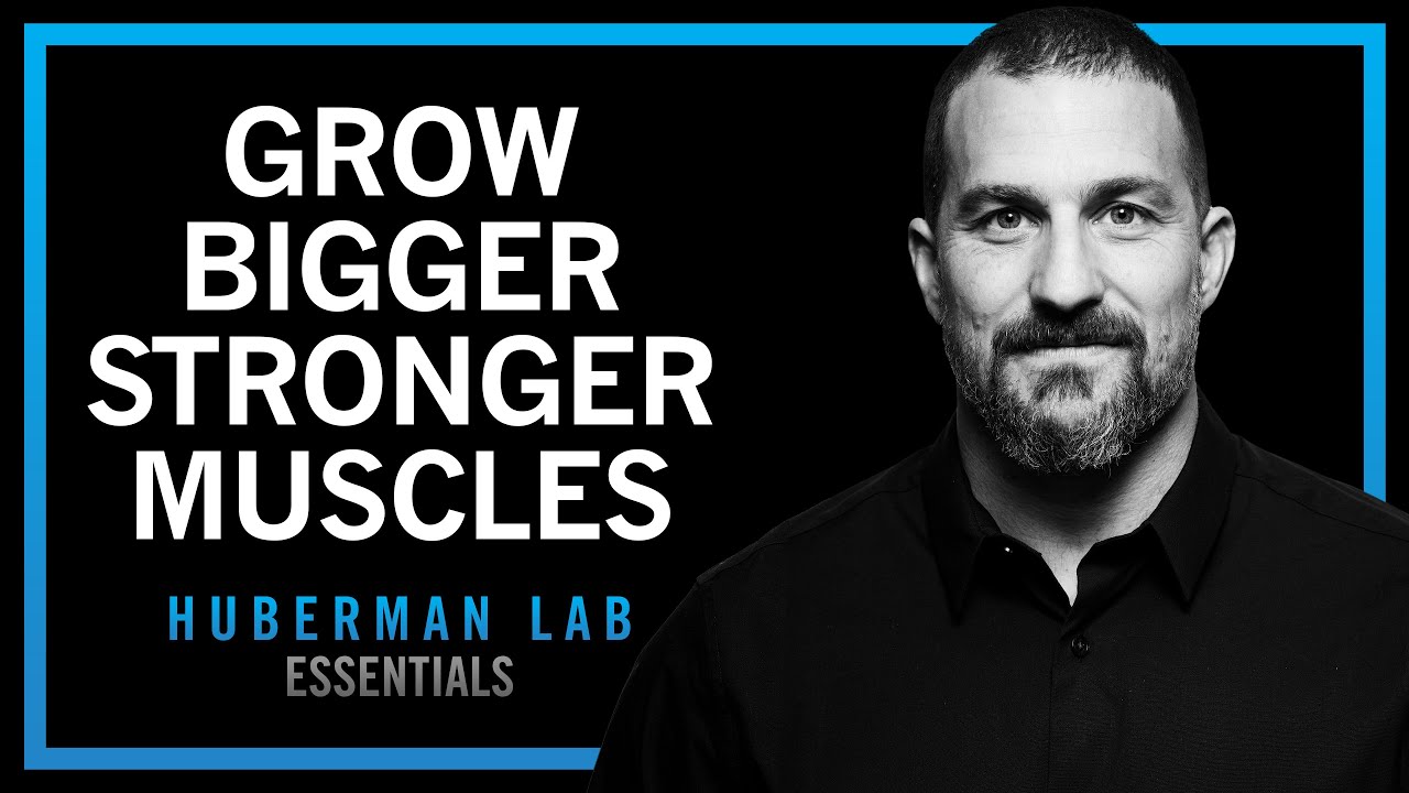 Unlocking Muscle Growth: Science-Backed Strategies for Strength and ...