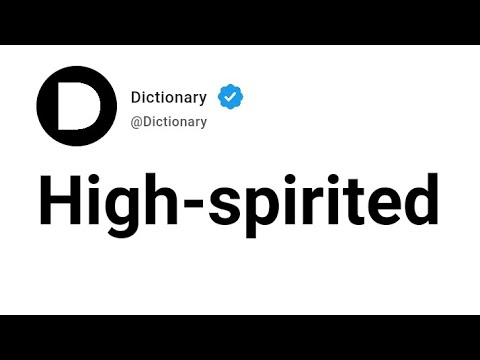 High-spirited Meaning In English