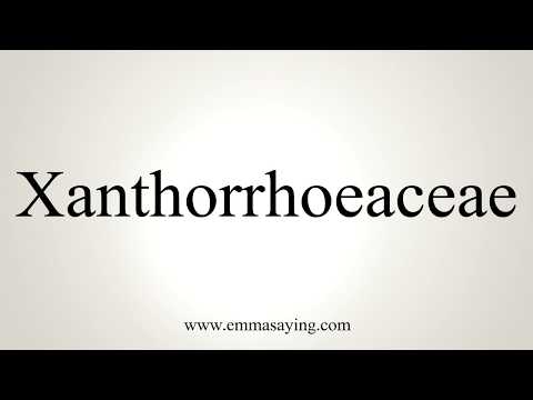 How To Pronounce Xanthorrhoeaceae