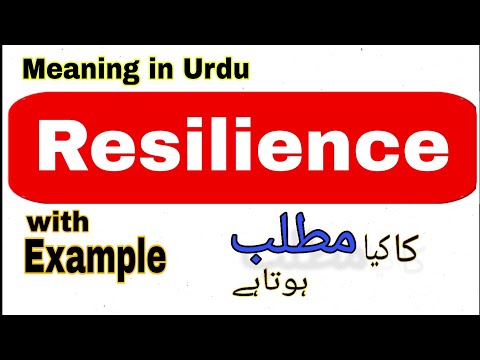 Resilience meaning in Hindi/Urdu| Resilience ka matlab Kya hota hai |what is the meaning of Resilien
