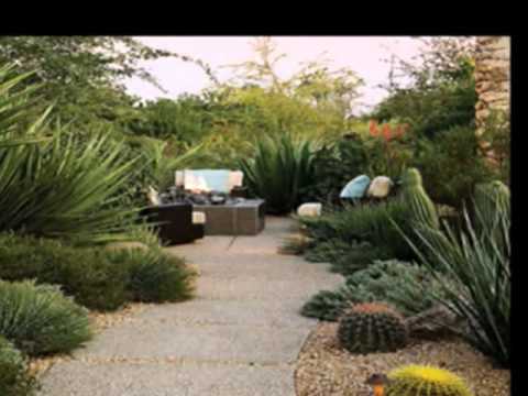 Desert landscaping ideas