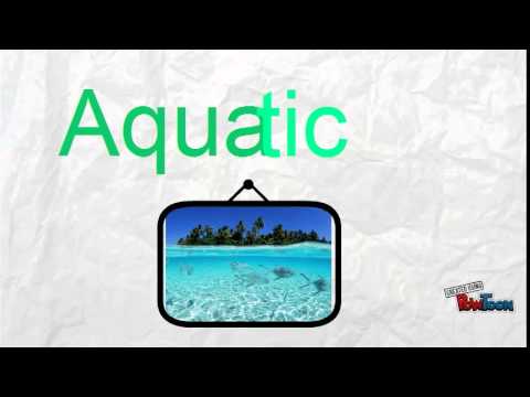 Prefixes and Suffixes of Aqua