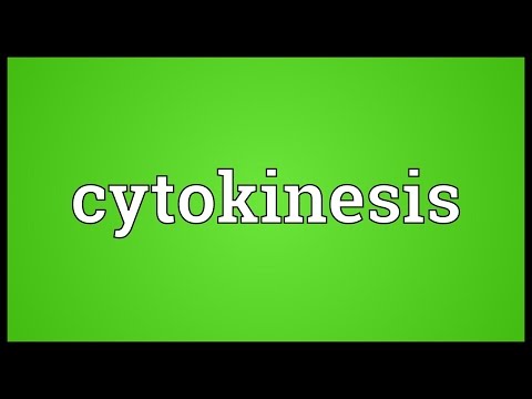 Cytokinesis Meaning
