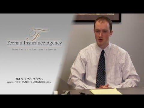The Feehan Insurance Agency