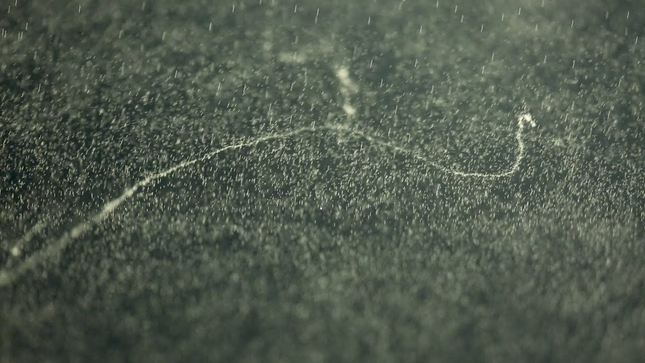 Cloud Chamber | Exploratorium