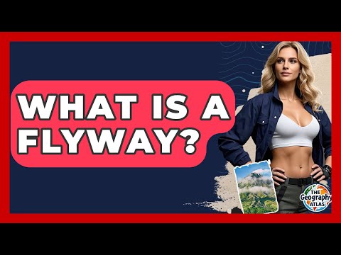 What Is A Flyway? - The Geography Atlas