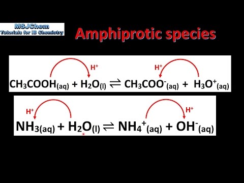 Amphiprotic vs. Amphoteric — Comparison & Examples - Expii