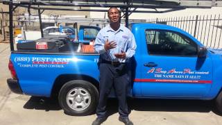 3 Best Pest Control Companies in Inglewood, CA - Expert Recommendations