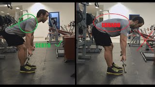 Remada curvada em pé c/ barra longa | Catálogo de Exercícios | Movimente.me