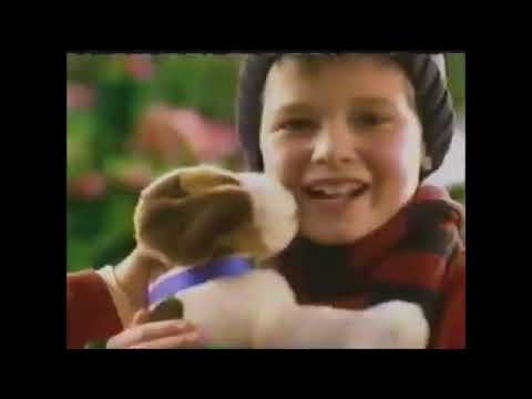 Arthur R.R. Lucas's Advertisement Archive Vol. 16: 2005 Toonami Commercials