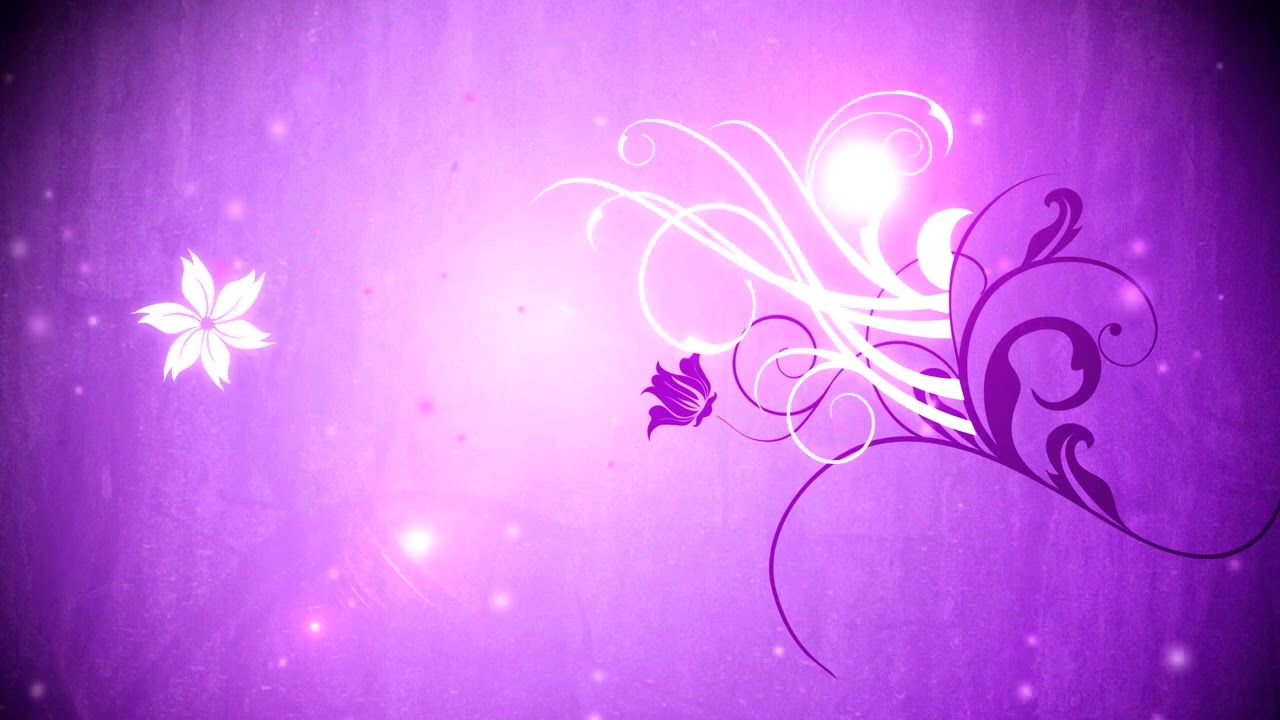 Purple Flourish Animation For. Text, Background| Free Stock | Free Royalty Free Copyright 100% Free