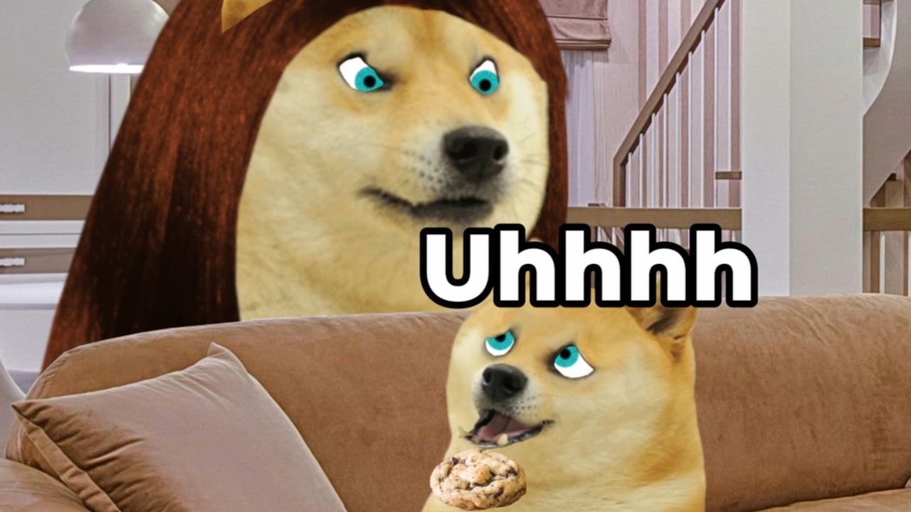 lil doge wants a cookie